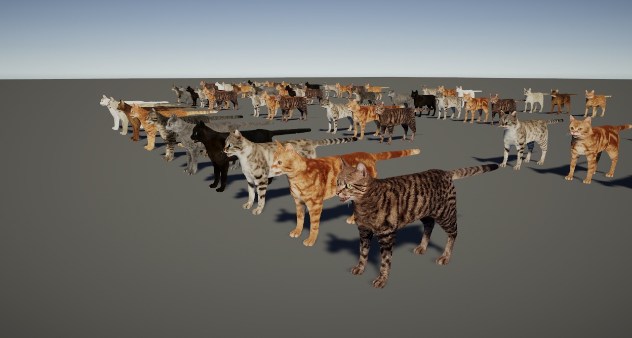 【Unity-Asset】Fully Animated Cats の紹介 | くものす